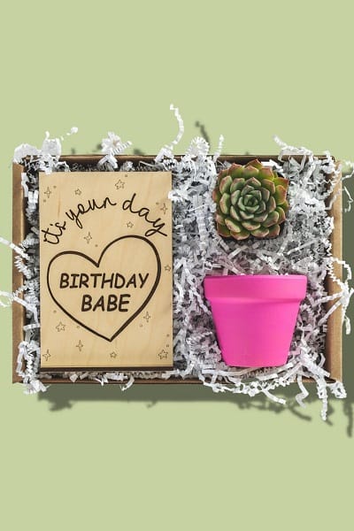 Happy Birthday Succulents: Gift Ideas For Succulent Lovers | Succulent Bar