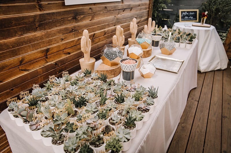 Complete Succulent Birthday Party Guide (Supplies, Activities, and ...