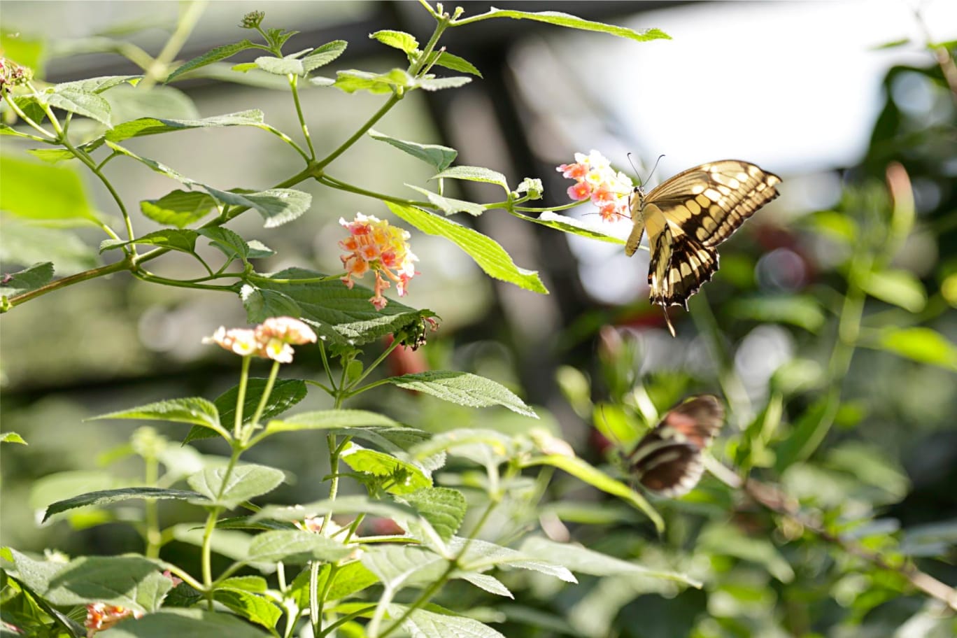 Top Earth Day Planting Activities for Families